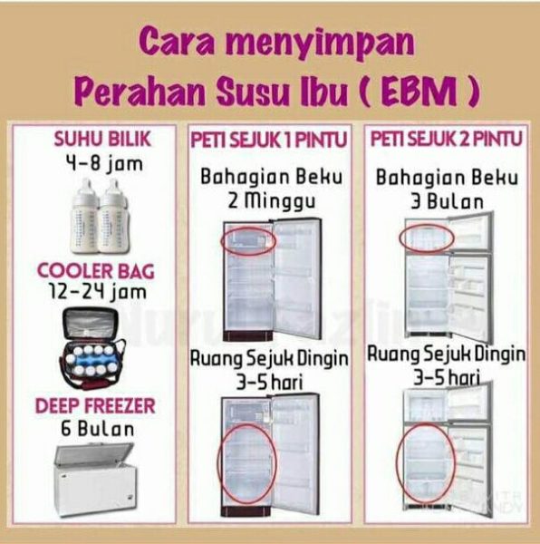 Bagaimana Cara Penyimpanan Perahan Susu Ibu (EBM) - PENGEDAR SHAKLEE ...